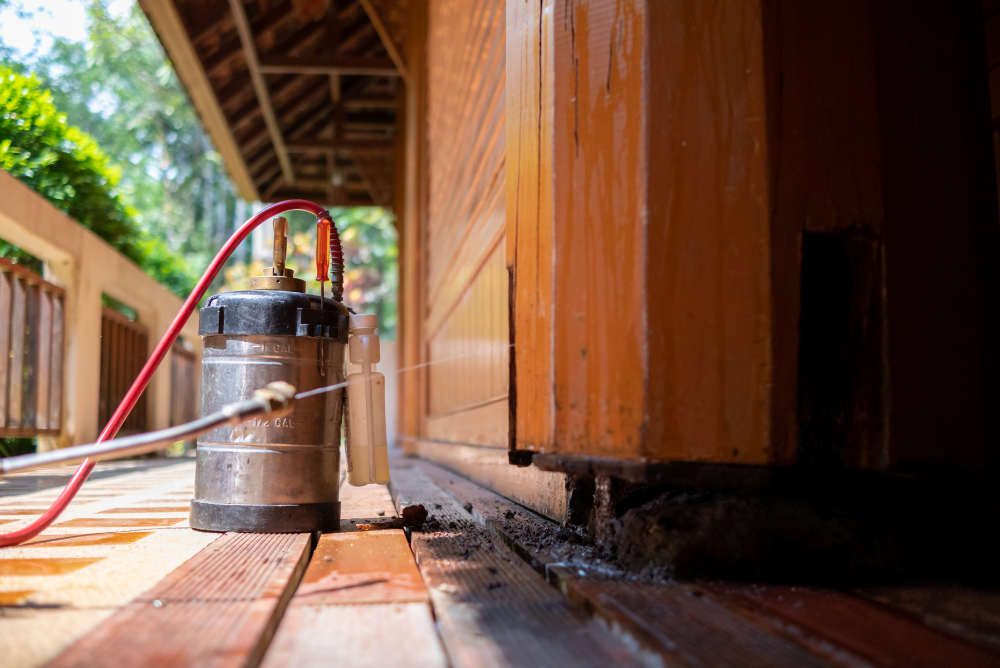 Termite Control in Singapore: Protect Your Home from Silent Destroyers ...